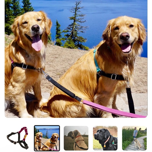 Dog | Nwt Wonder Walker Nopull Harness Burgundy Toy Size | Poshmark